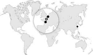 About - Ellipse Animation